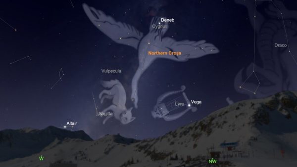Cygnus The Swan Constellation Seduces Across Ancient Greek, Hindu, and ...